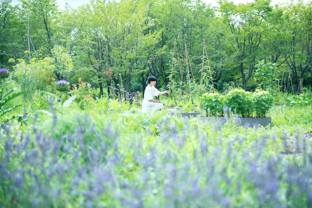 ホリスティックビューティ ブランド物語 VO.1 ICOR／北海道 – HOLISTIC JAPAN（ホリスティックジャパン）| ホリスティックビューティー・国産オーガニックコスメのセレクトショップ
